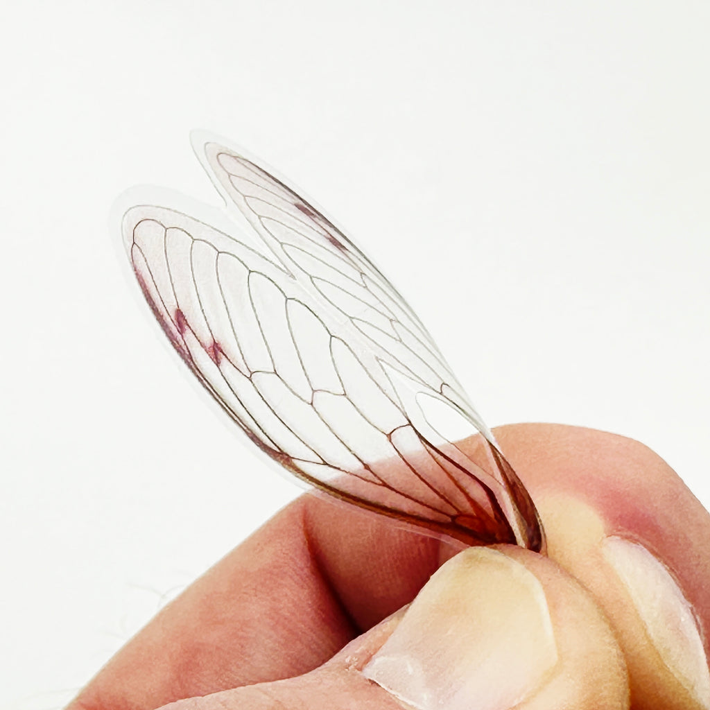 Surface Seducer® Cicada Wings - Flymen Fishing Company