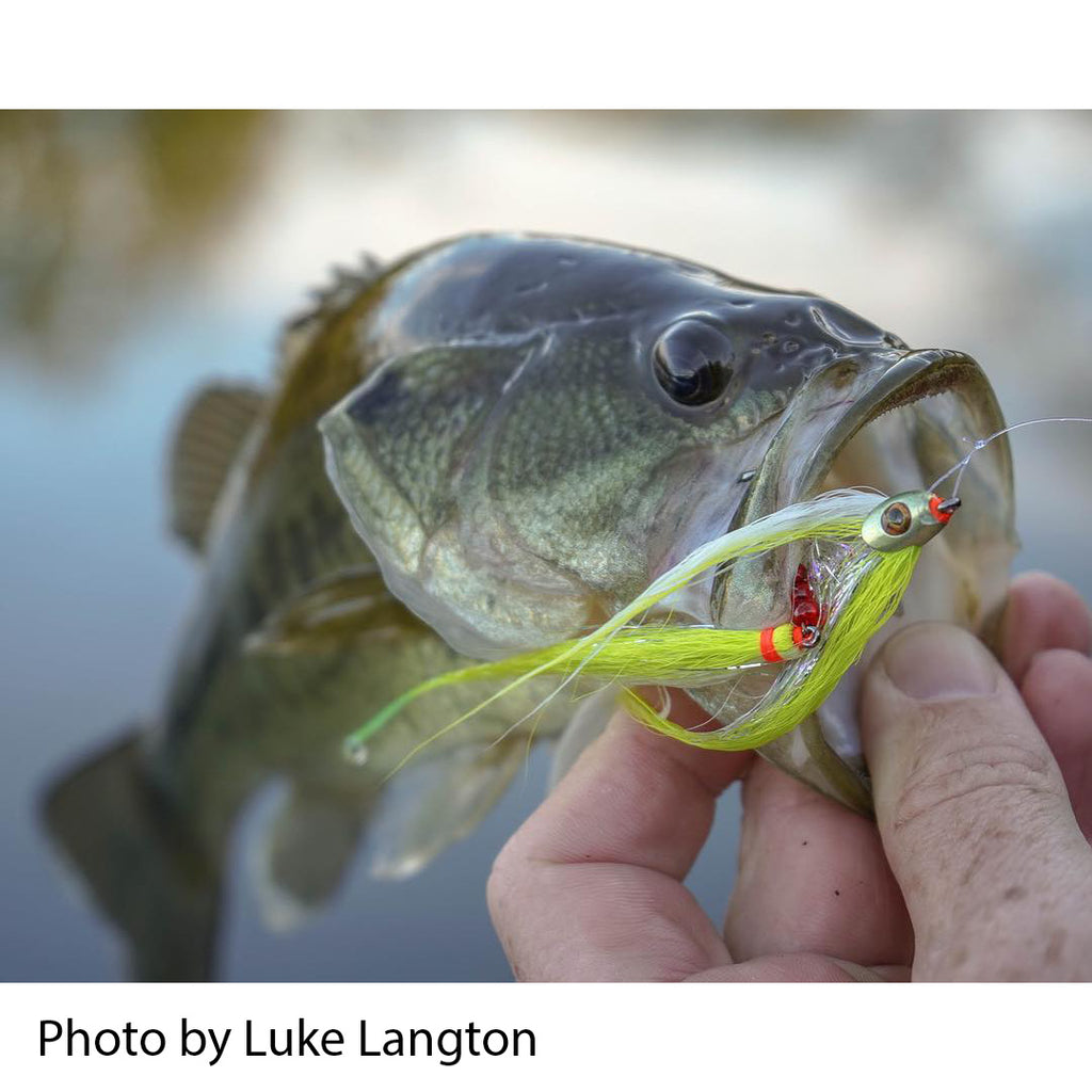 Fish-Skull® Bandito Baitfish Heads™ - Flymen Fishing Company