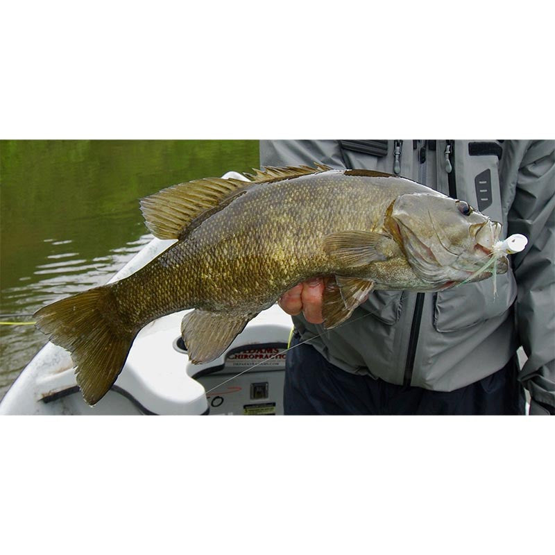 Surface Seducer® Double Barrel™ popper & slider body - Flymen Fishing ...