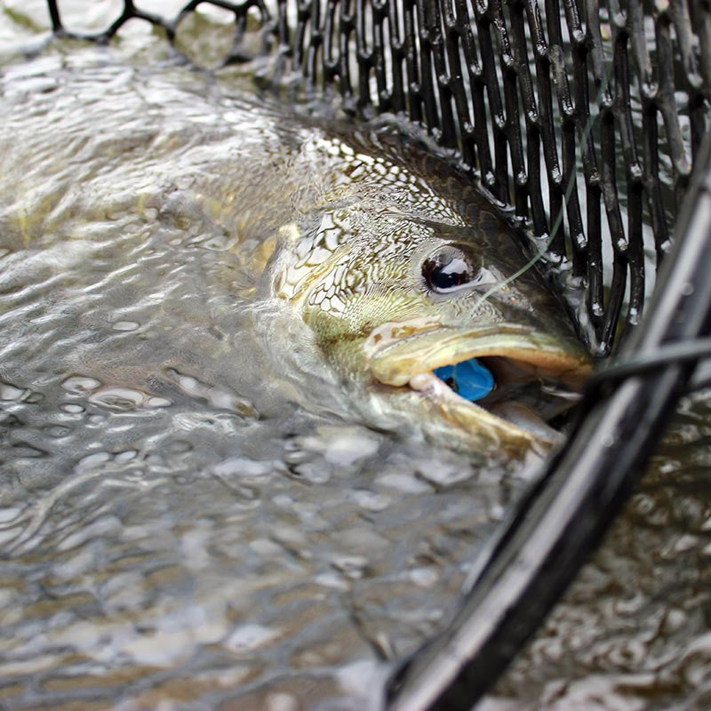 Surface Seducer® Double Barrel™ popper & slider body - Flymen Fishing ...