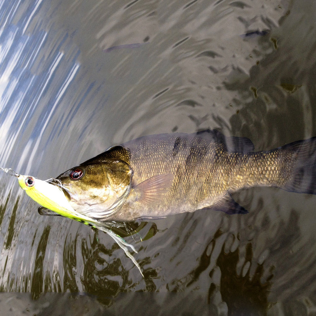 Fish-Skull® Fish-Mask™ - Flymen Fishing Company