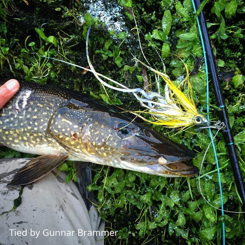 Fish-Skull® Fish-Mask™ - Flymen Fishing Company