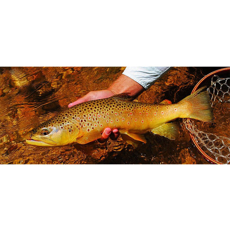 Fish-Skull® Articulated Micro Shank for Trout Spey - Flymen Fishing Company