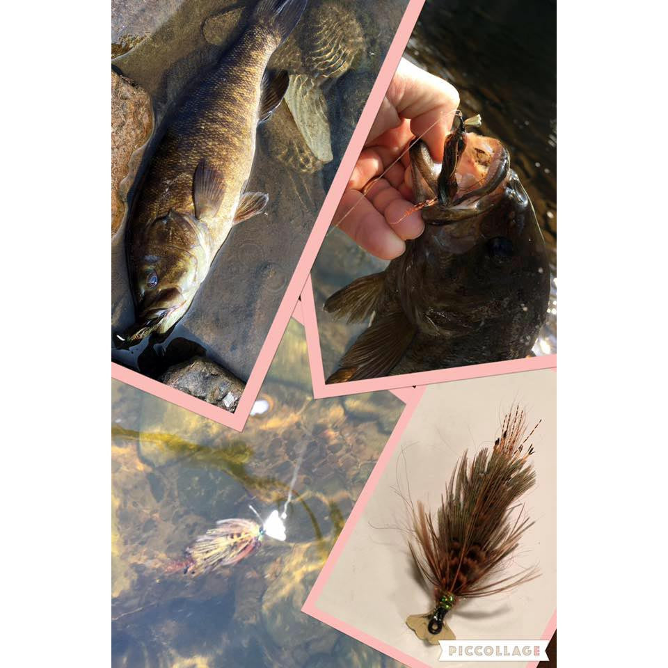 Fish-Skull® Shrimp & Cray Tail™ - Flymen Fishing Company