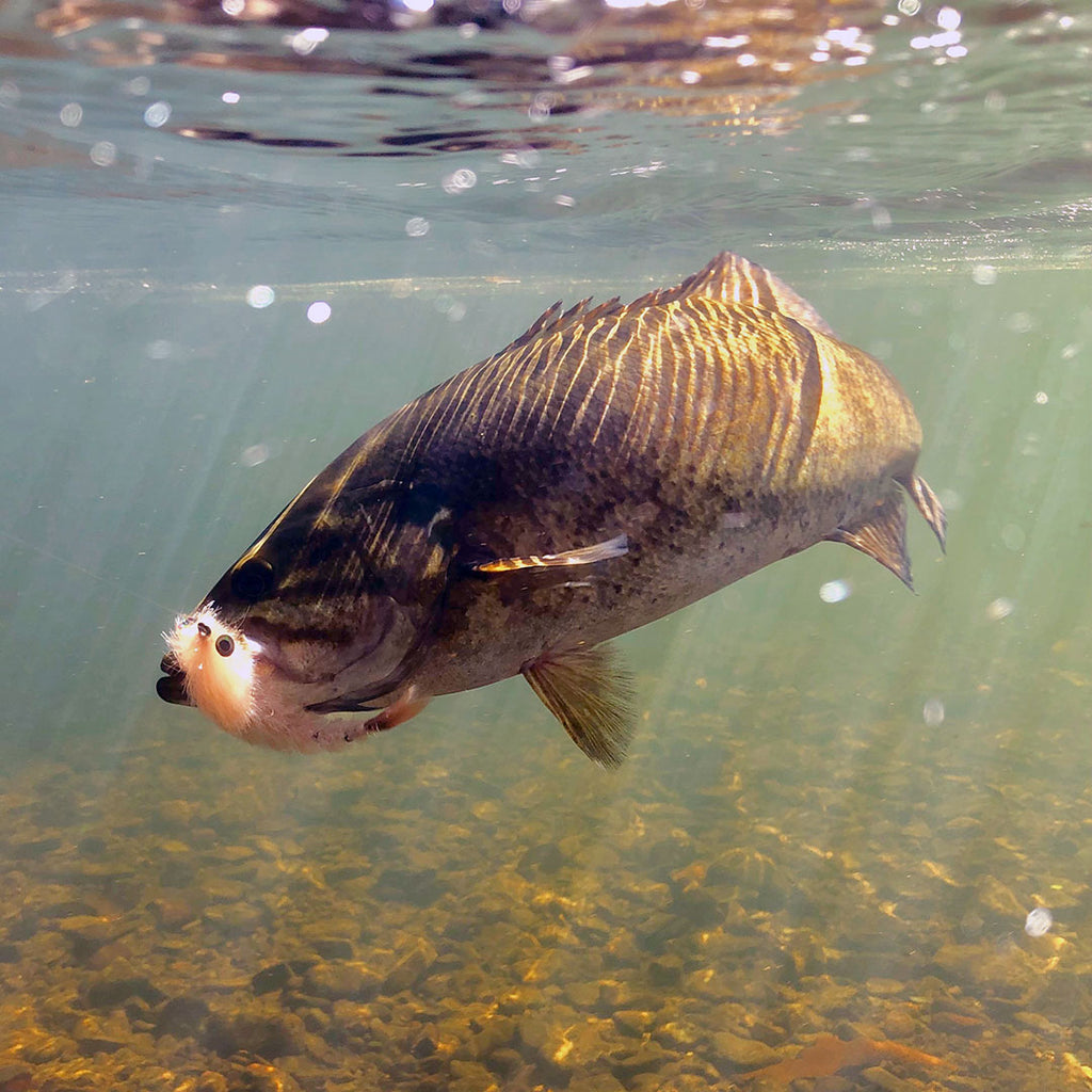 Next Minnow Changer - 2/0 - Flymen Fishing Company