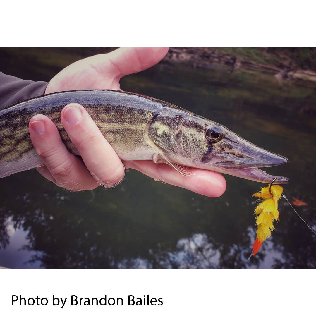 Fish-Skull® Articulated Micro-Spine - Flymen Fishing Company