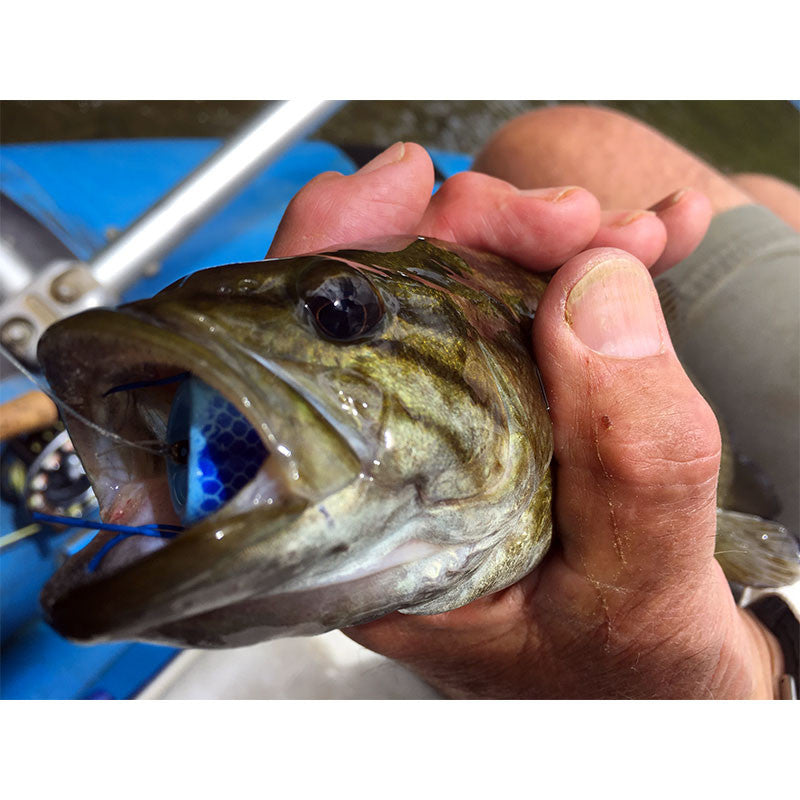 Surface Seducer® Double Barrel™ Bass Bug popper 2.0 - Flymen Fishing ...