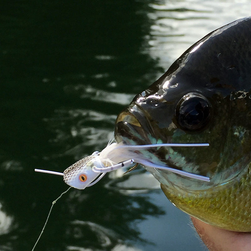 Surface Seducer® Double Barrel™ Bass Bug popper 2.0 - Flymen Fishing ...