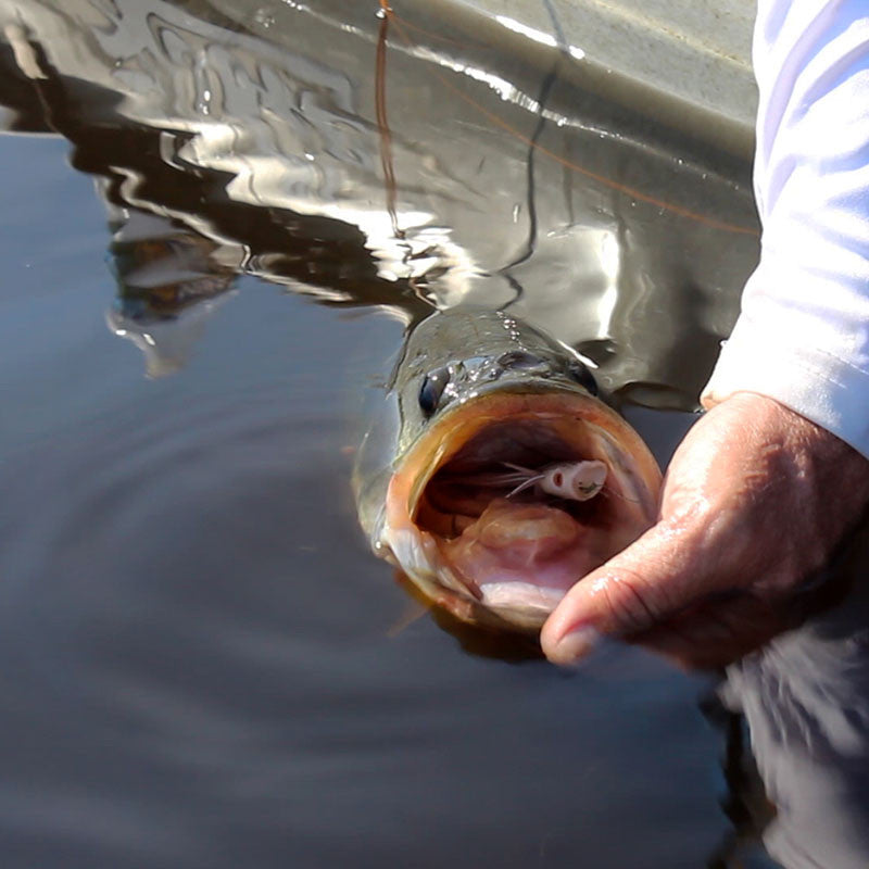 Surface Seducer® Double Barrel™ Bass Bug popper 2.0 - Flymen Fishing ...