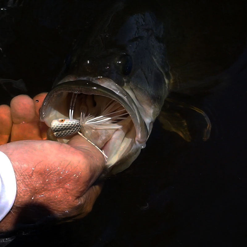Surface Seducer® Double Barrel™ Bass Bug popper - Flymen Fishing Company