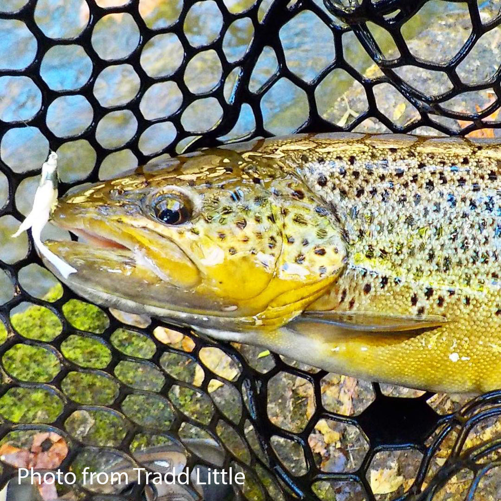 Fish-Skull® Frantic Tails™ - Flymen Fishing Company