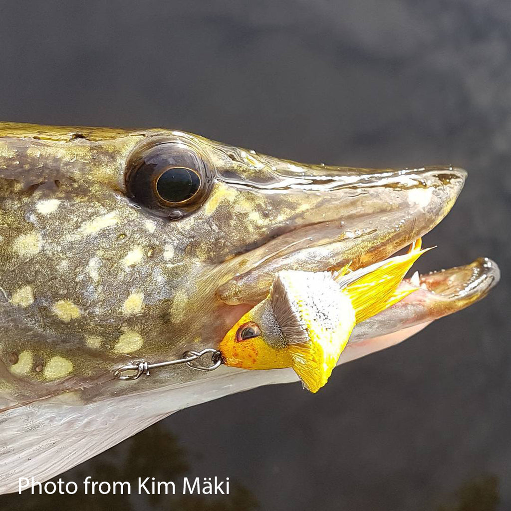 Fish-Skull® Living Eyes™ - Flymen Fishing Company