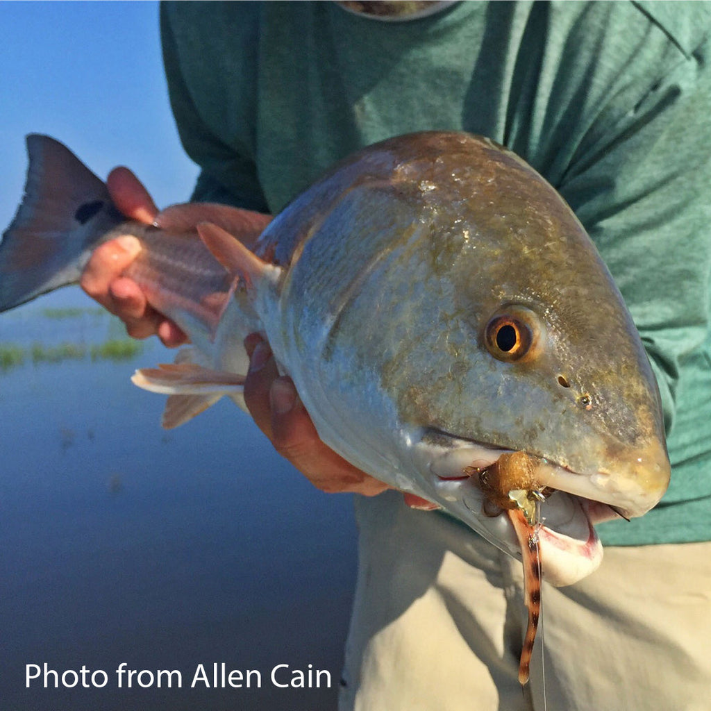 Fish-Skull® Shrimp & Cray Tail™ - Flymen Fishing Company