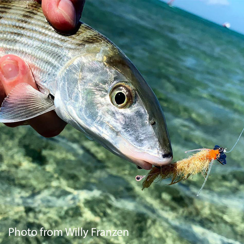 Fish-Skull® Shrimp & Cray Tail™ - Flymen Fishing Company