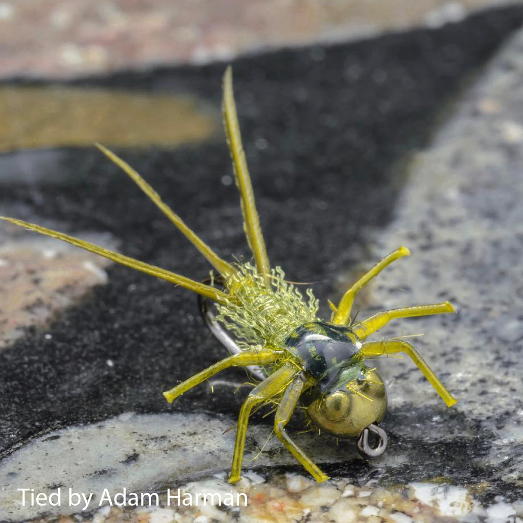 Nymph-Head® Evolution™ Mayfly Clinger & Crawler tungsten beadheads ...