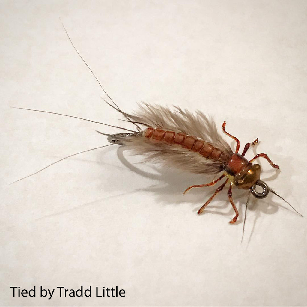 Nymph-Head® Evolution™ Mayfly Swimmer & Burrower tungsten beadheads ...