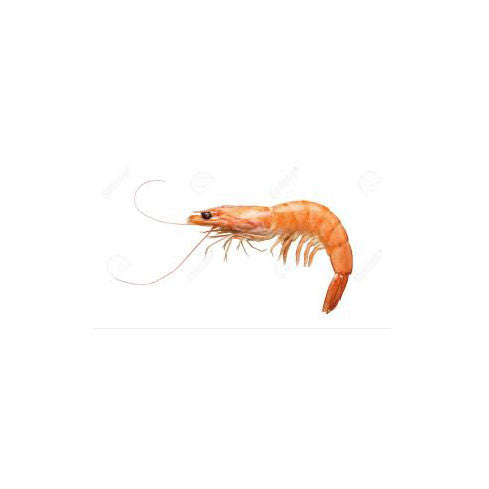 Fish-Skull® Shrimp & Cray Tail™ - Flymen Fishing Company