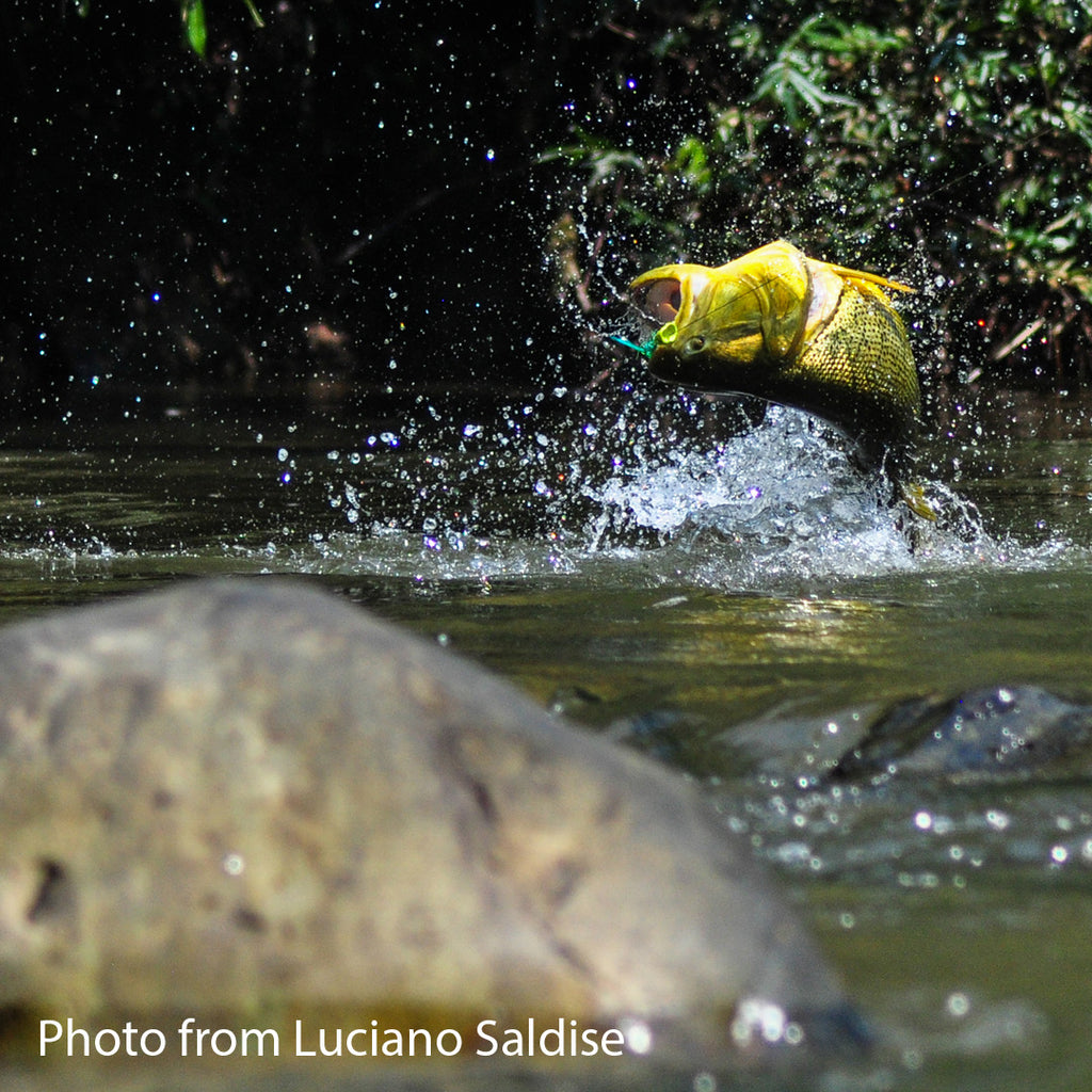 Surface Seducer® Double Barrel™ popper & slider body - Flymen Fishing ...