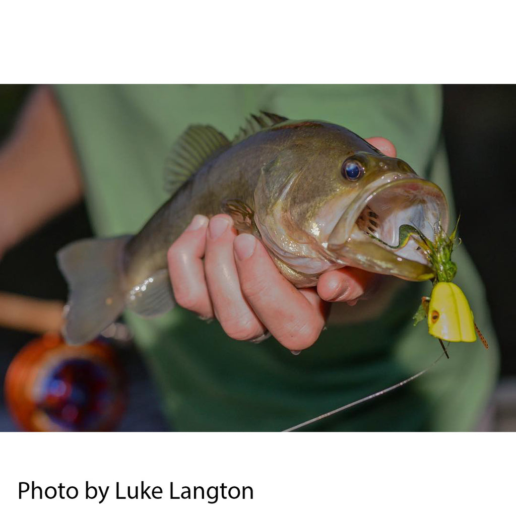 Surface Seducer® Double Barrel™ popper & slider body - Flymen Fishing ...