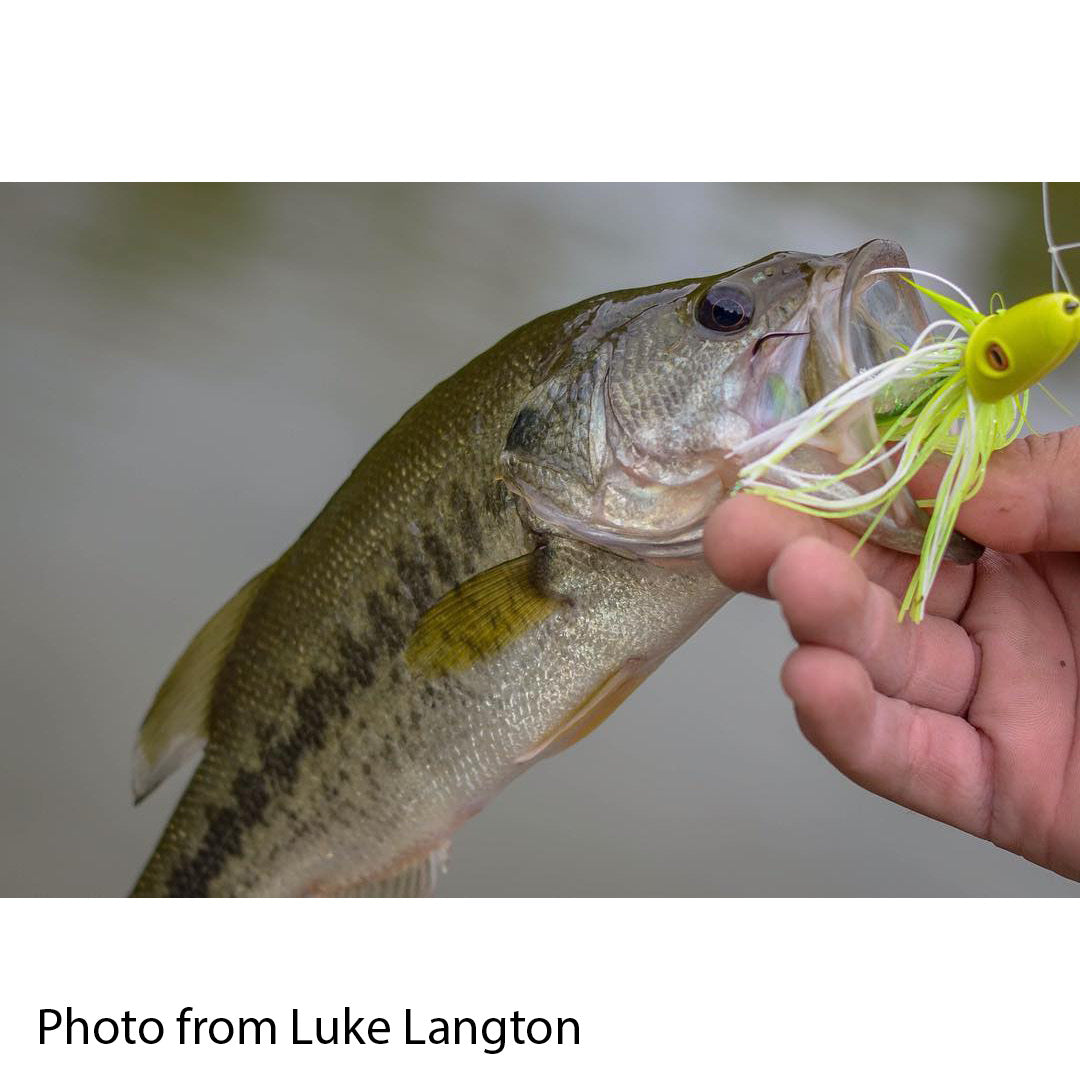 Surface Seducer® Double Barrel™ popper & slider body - Flymen Fishing ...